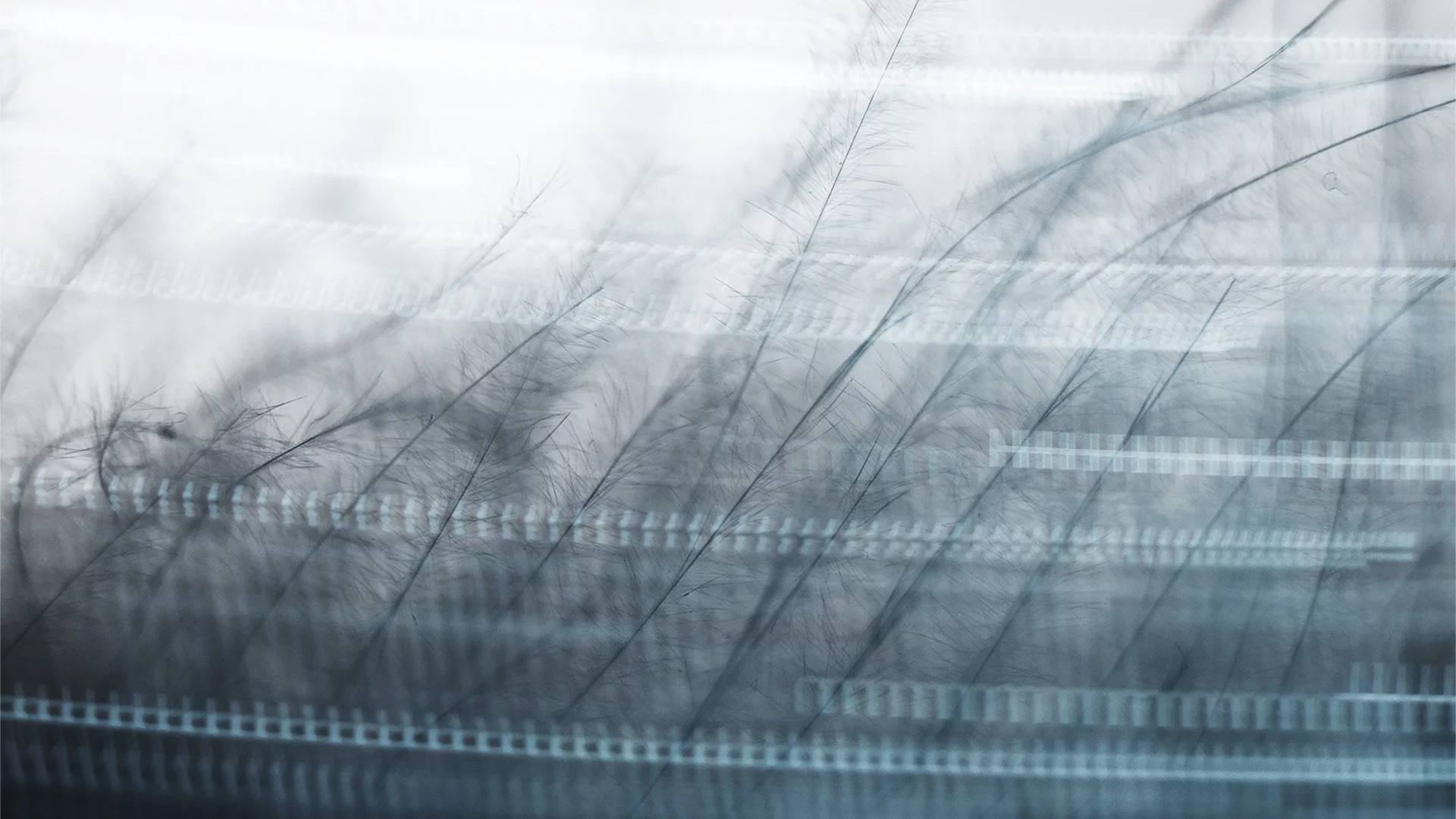 Aleph Alpha launches its LUMINOUS series for users. - Aleph Alpha