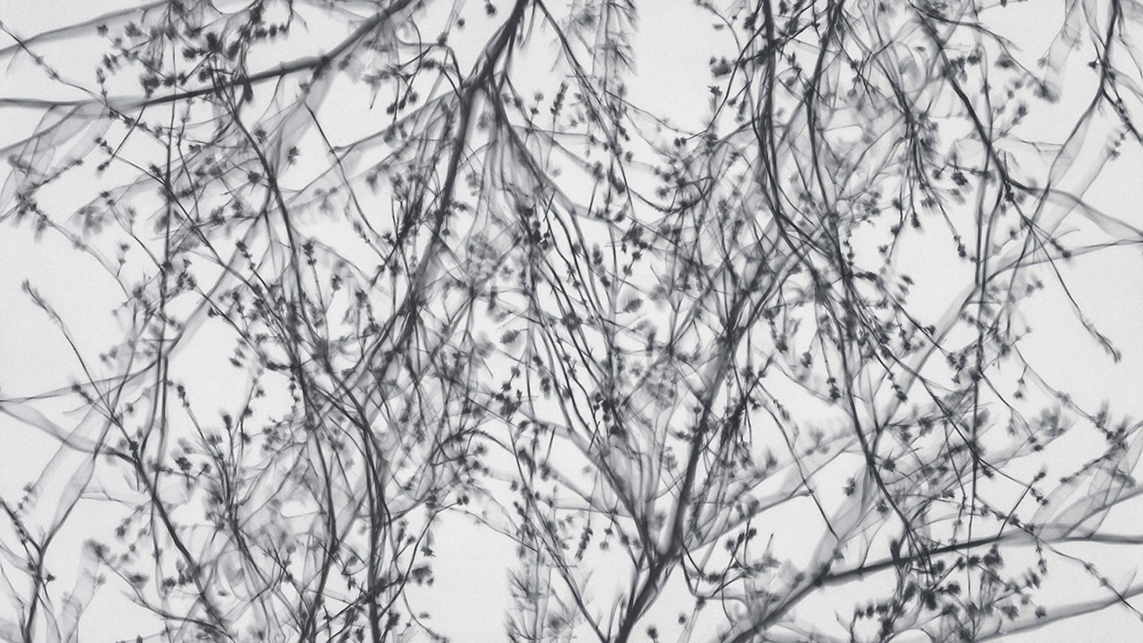 Our Work | Aleph Alpha