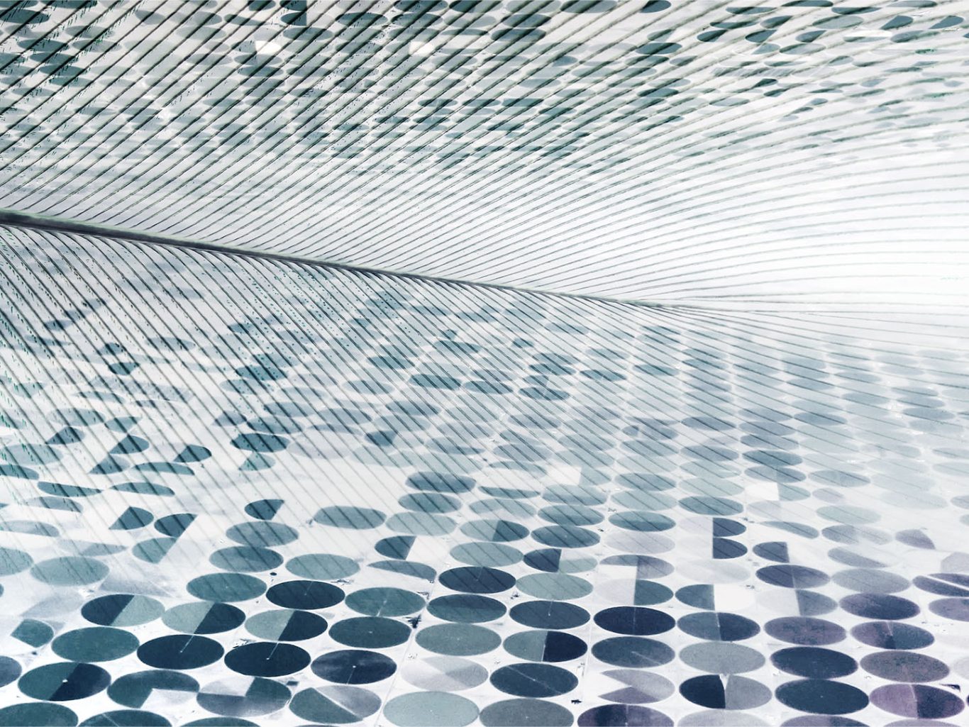 Our Work | Aleph Alpha